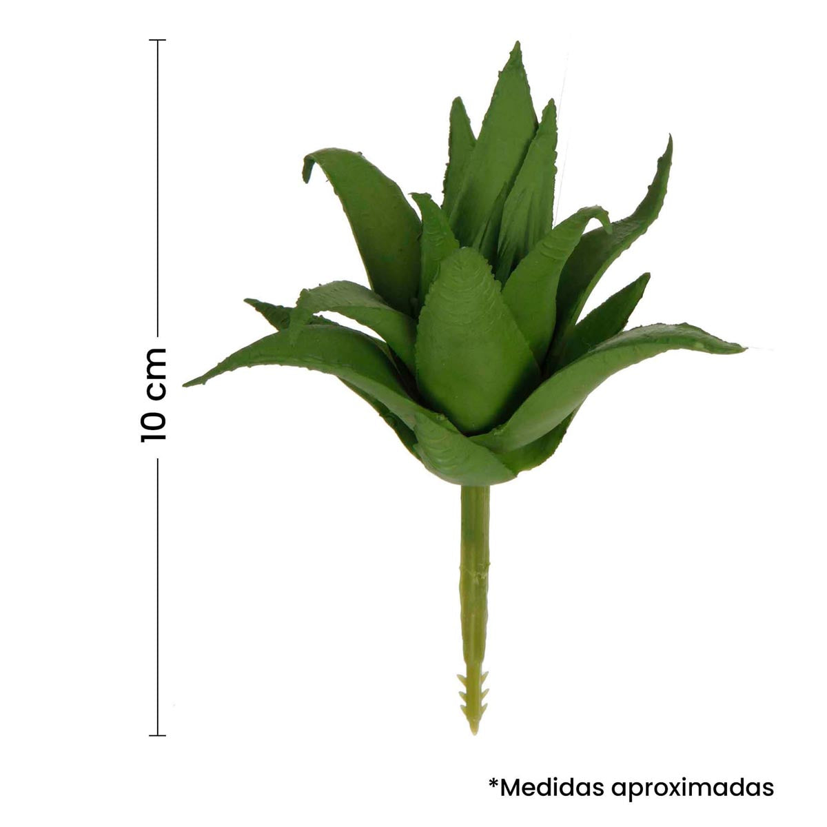 Cactus Chico Sin Maceta 10cm | Fantasias Miguel – Fantasías Miguel